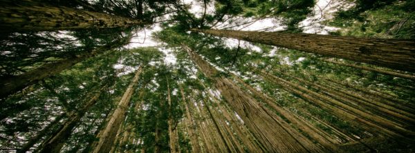 Clean Green Movement Benefits | Prudential Overall Supply